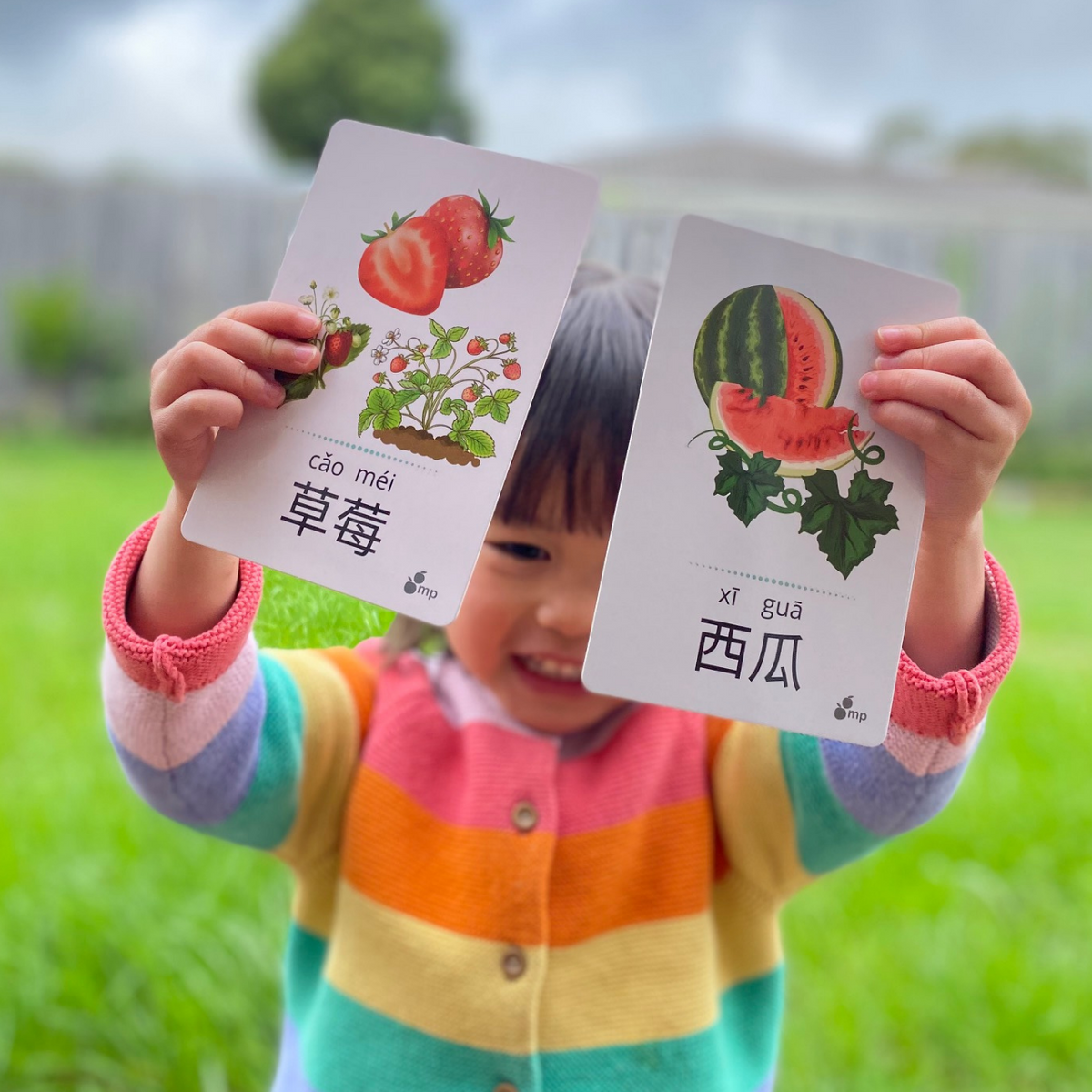 Chinese Flash Cards Fruits & Veggies, Learn Chinese characters, Learn ...